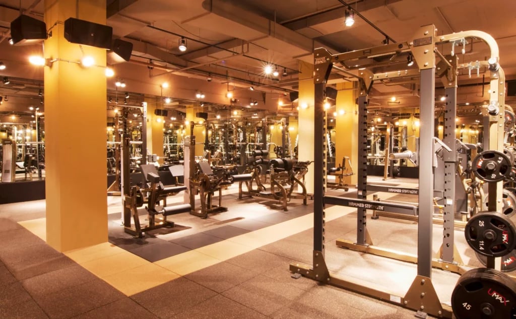 Comprehensive Guide to Gyms: Types, Benefits & How to Choose the Right One